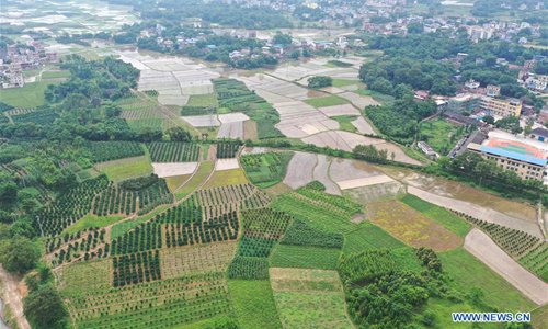 Farmland scenery of Quanzhou County, south China's Guangxi - Global Times