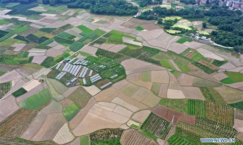 Farmland scenery of Quanzhou County, south China's Guangxi - Global Times