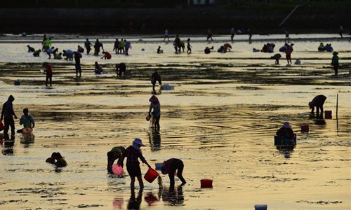 People join in beachcombing for shells along seaside of Qingge Port in ...