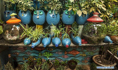 In pics: roadside garden in Kolkata, India - Global Times