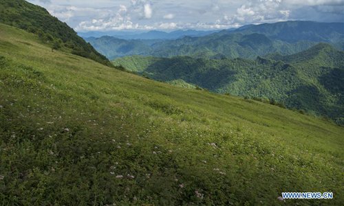 Scenery of Zibai Mountain in Liuba, China's Shaanxi - Global Times