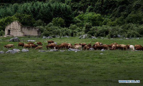 Scenery of Zibai Mountain in Liuba, China's Shaanxi - Global Times