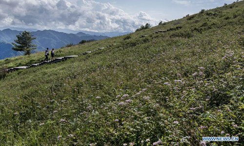Scenery of Zibai Mountain in Liuba, China's Shaanxi - Global Times