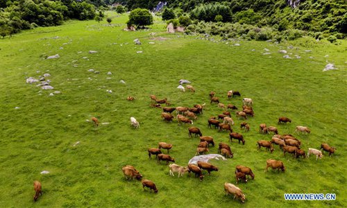 Scenery of Zibai Mountain in Liuba, China's Shaanxi - Global Times