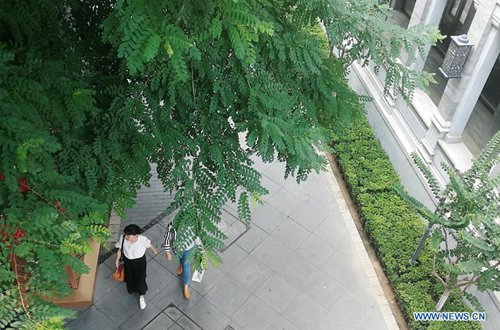 People enjoy summer time in Beijing, Shanghai - Global Times