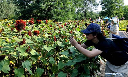People enjoy summer time in Beijing, Shanghai - Global Times