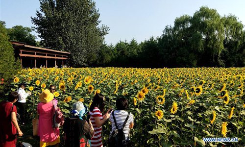 People enjoy summer time in Beijing, Shanghai - Global Times