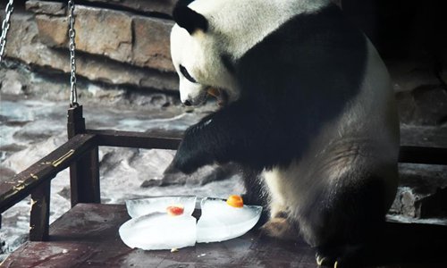 Jinan Wildlife World helps giant panda cool off in summer - Global Times