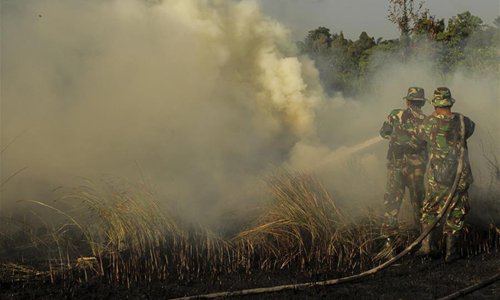 Indonesian firefighters extinguish forest fire - Global Times