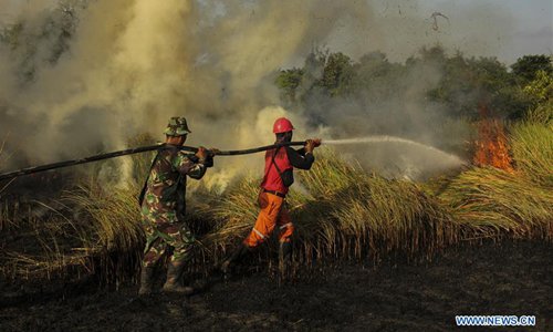Indonesian firefighters extinguish forest fire - Global Times