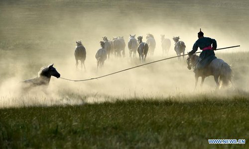 Horse lassoing in north China's Inner Mongolia - Global Times