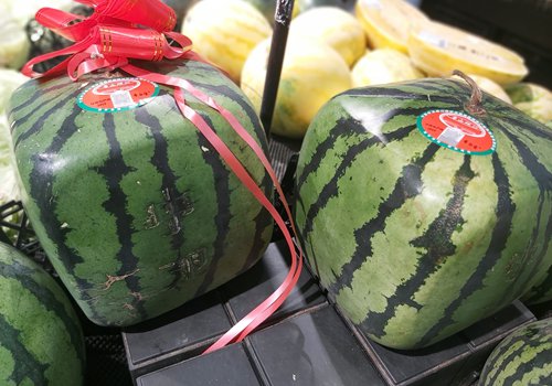 Melon cubed - Global Times