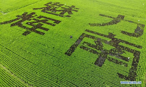 Green agriculture developed in Huinan, northeast China's Jilin - Global ...