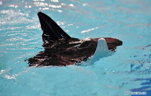 Chinese researchers develope biomimetic robot in shape of manta ray in ...