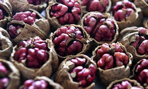 Planting of walnut with red kernels lifts locals out of poverty in ...