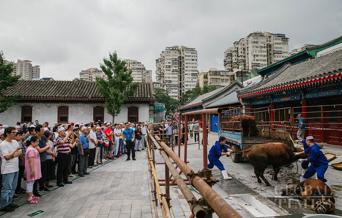 Muslims in Beijing celebrate Corban Festival - Global Times