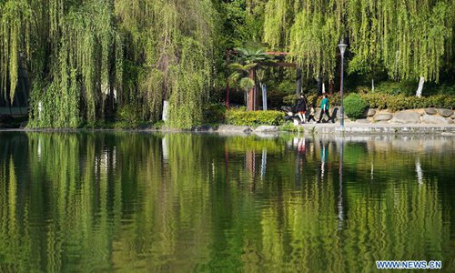 Ankang City in NW China sees rapid growth of eco-friendly industries ...