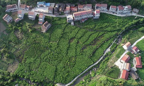 Ankang City in NW China sees rapid growth of eco-friendly industries ...