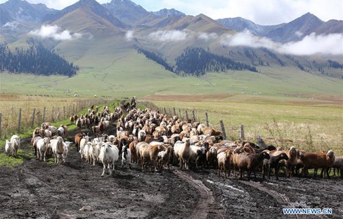 beautiful scenery in northwest China's Xinjiang - Global Times