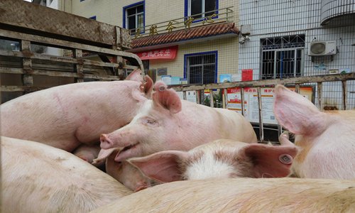 China splashes money on pig production - Global Times