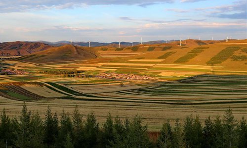 Autumn scenery of Bashang area in north China's Hebei - Global Times