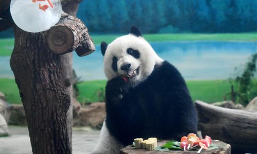 Pandas Eating Fruit