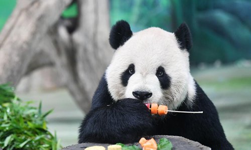 Giant pandas enjoy mooncakes, skewered fruits, vegetables in Taipei ...