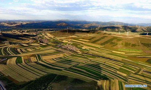Autumn scenery of Bashang area in north China's Hebei - Global Times
