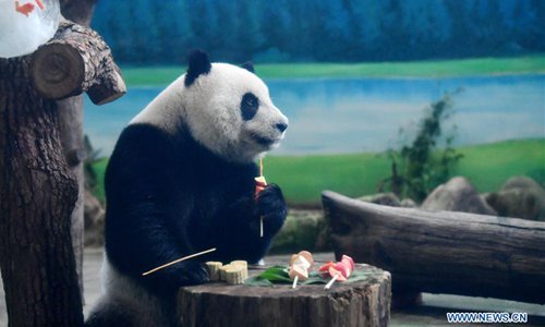 Giant pandas enjoy mooncakes, skewered fruits, vegetables in Taipei ...