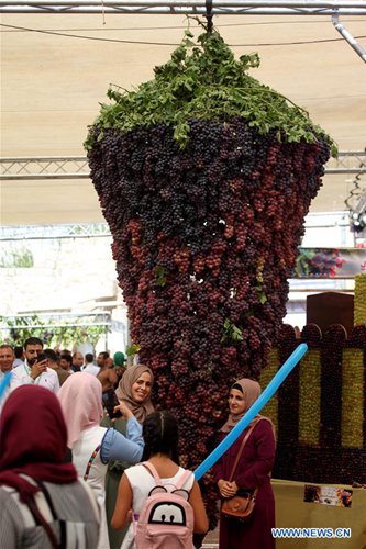 Grapes Festival held in West Bank city of Hebron - Global Times