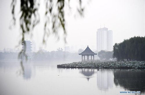 Scenery of Daming Lake in China's Shandong - Global Times