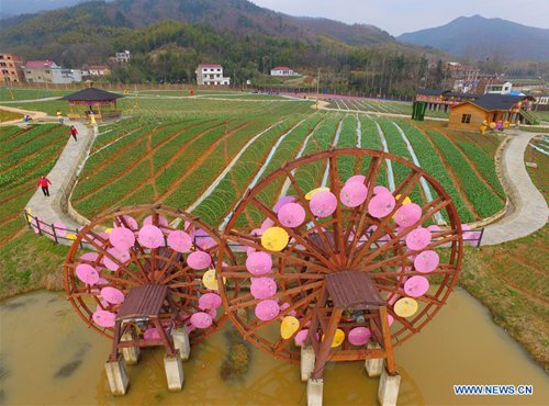 Henan's Xinyang pursues path of green development - Global Times