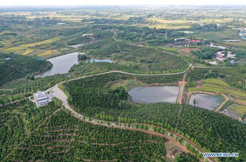 Henan's Xinyang pursues path of green development - Global Times
