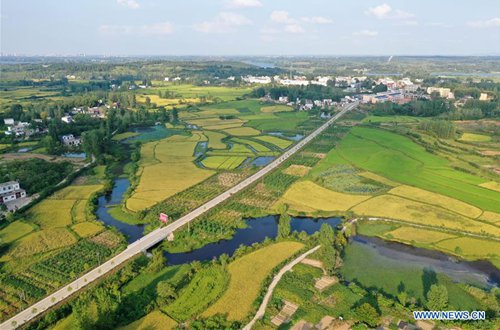 Henan's Xinyang pursues path of green development - Global Times