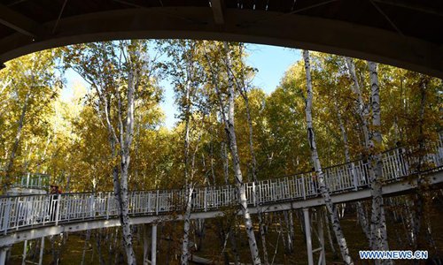 Autumn scenery in Ergun, N China's Inner Mongolia - Global Times