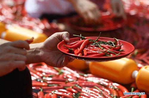 Highlights of chili eating competition in Hangzhou, E China's Zhejiang ...