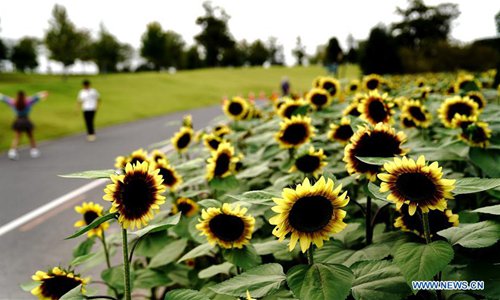 Shanghai Chenshan Botanical Garden attracts tourists - Global Times