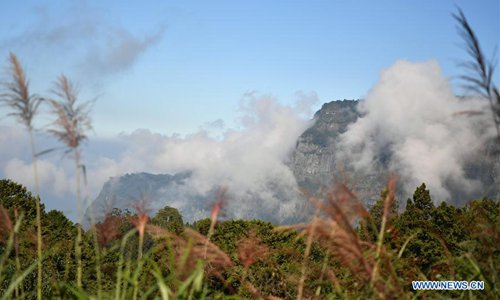 Tourists go sightseeing in Ali Mountain in Taiwan, SE China - Global Times