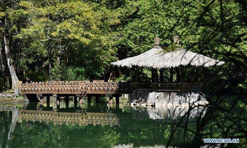 Tourists go sightseeing in Ali Mountain in Taiwan, SE China - Global Times