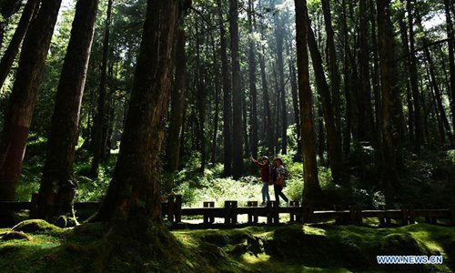 Tourists go sightseeing in Ali Mountain in Taiwan, SE China - Global Times