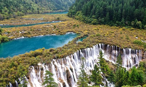China's national parks enjoy better ecological environment - Global Times