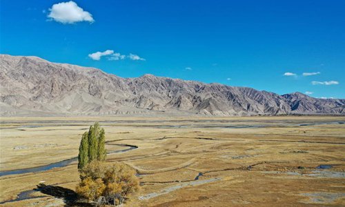 Autumn scenery in NW China's Xinjiang - Global Times