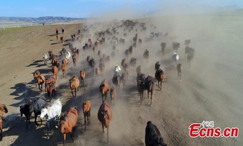 Beautiful scenery of thousand-year-old Shandan horse ranch in Gansu ...