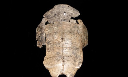Exhibition held to commemorate oracle bone inscription discovery ...