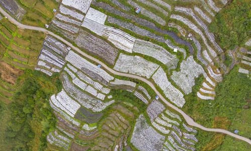 View of Medog County in China's Tibet - Global Times