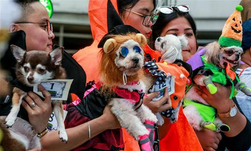 People take part in "Petrified" Halloween celebration in Philippines ...