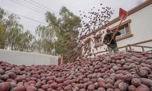 Ruoqiang County in China's Xinjiang famous for red jujubes - Global Times