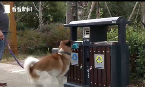 Litter-picking dog learns to sort trash - Global Times