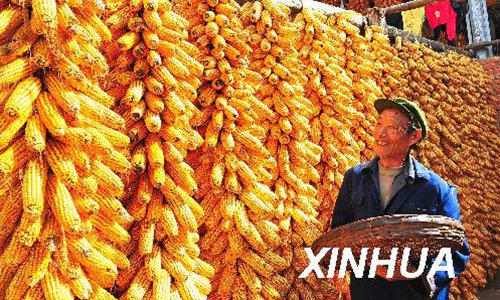 China intensifies efforts to ensure supply of farm produce, keep prices ...