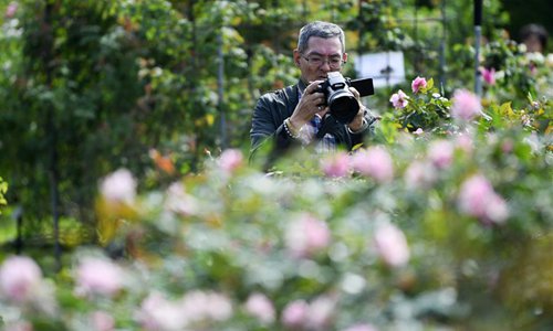 Rose show kicks off in Taipei Expo Park - Global Times